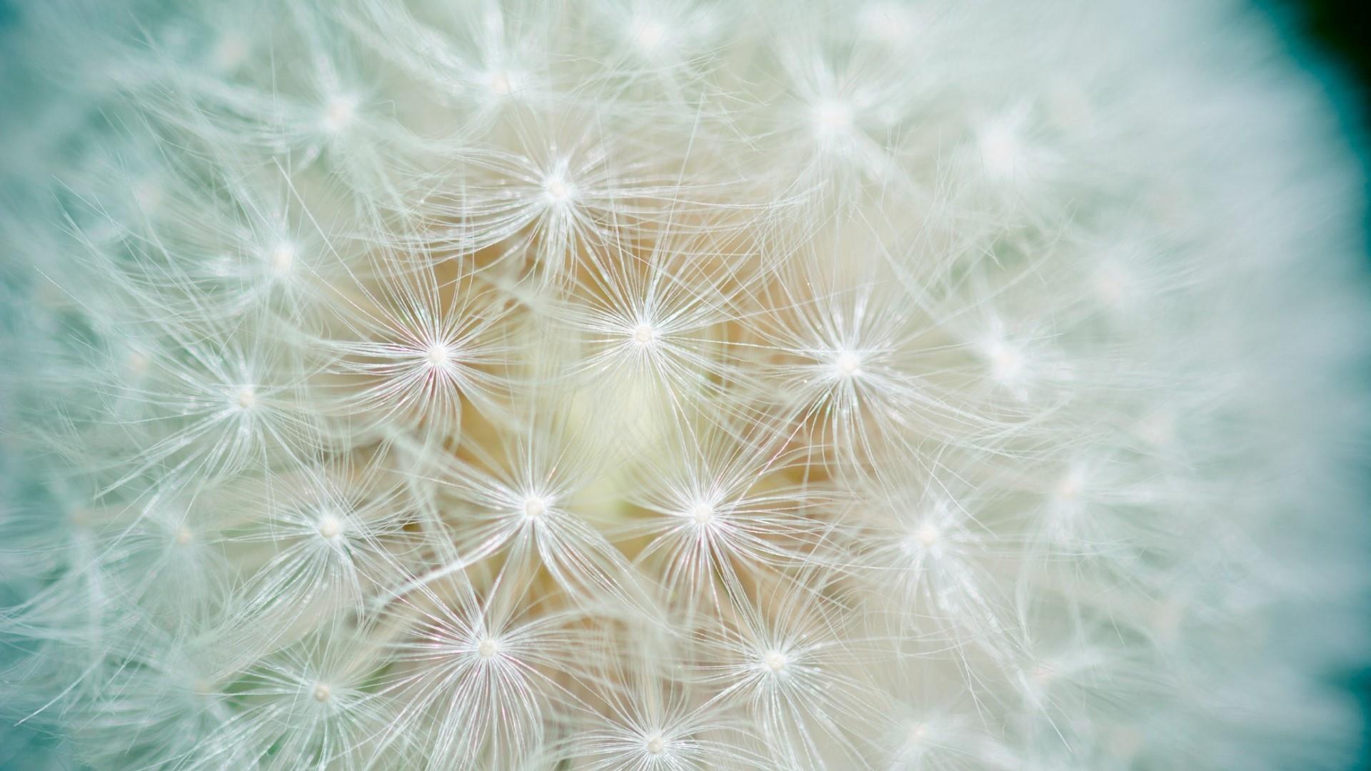 When the flowers hit the fan - GuidedTripping